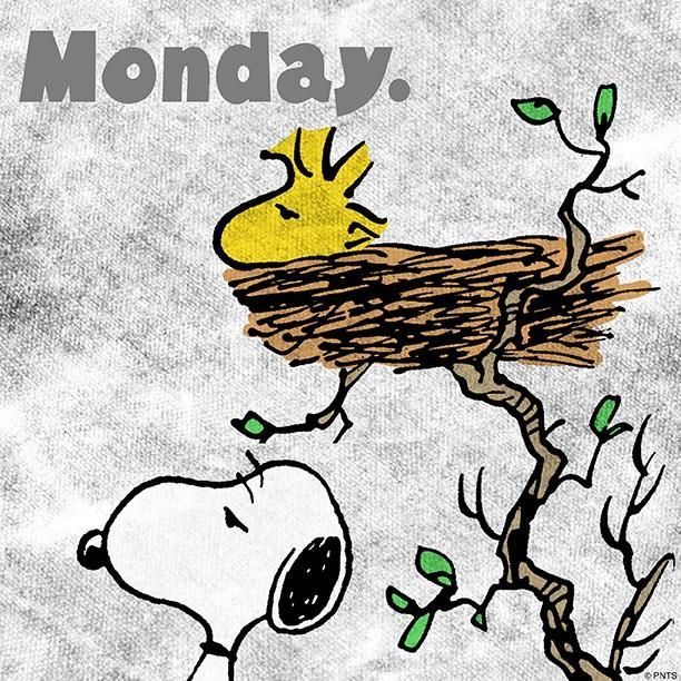 Monday Pictures, Photos, and Images for Facebook, Tumblr, Pinterest ...