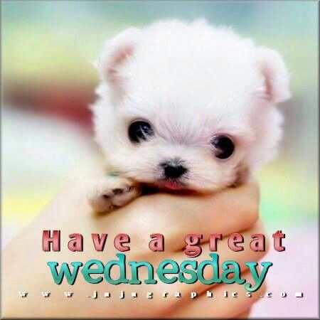 Have A Great Wednesday