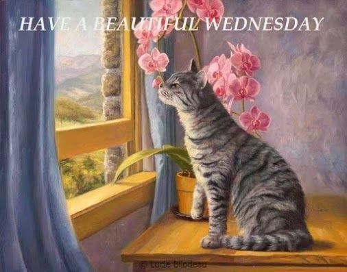 Have A Beautiful Wednesday Pictures, Photos, and Images for Facebook ...