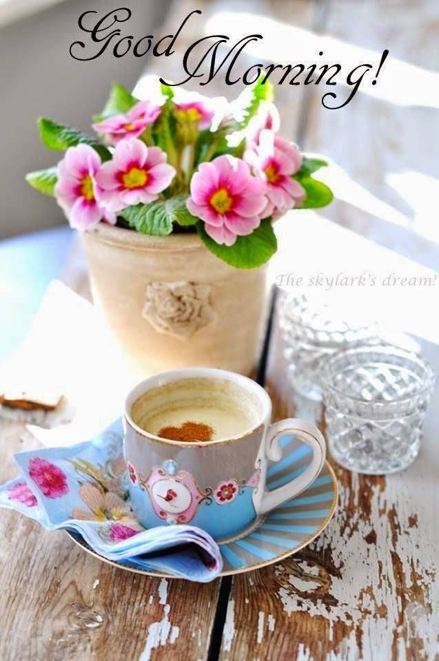 Good Morning Pictures, Photos, and Images for Facebook, Tumblr ...