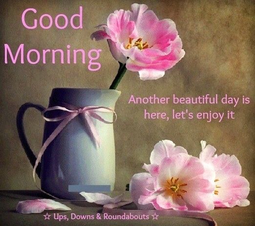 Good Morning Pictures, Photos, and Images for Facebook, Tumblr ...