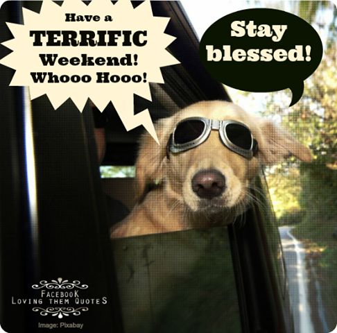 Have A Terrific Weekend Pictures, Photos, and Images for Facebook ...