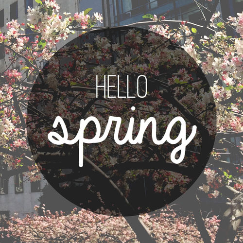 Hello Spring Pictures, Photos, and Images for Facebook, Tumblr ...