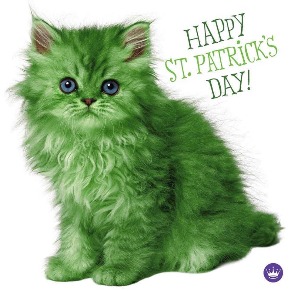 Happy St Patricks Day Pictures, Photos, and Images for Facebook, Tumblr ...