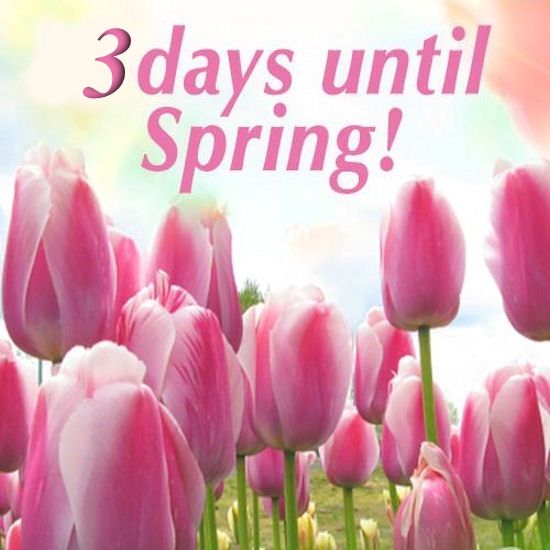 3 Days Until Spring Pictures, Photos, and Images for Facebook, Tumblr ...