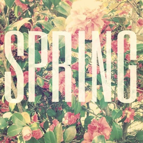 Spring Pictures, Photos, and Images for Facebook, Tumblr, Pinterest ...