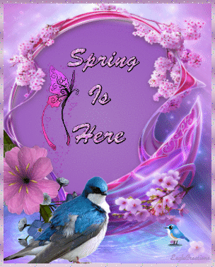 Spring Is Here Pictures, Photos, and Images for Facebook, Tumblr ...