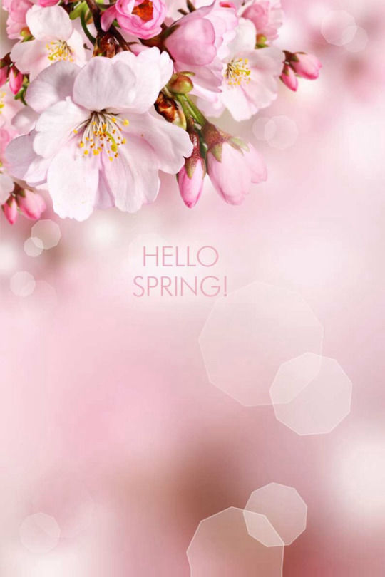 Hello Spring With Flowers Pictures, Photos, and Images for Facebook ...
