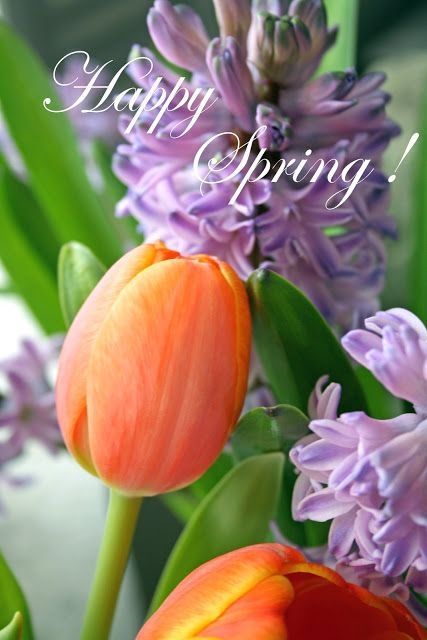 Happy Spring Pictures, Photos, and Images for Facebook, Tumblr ...