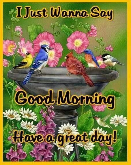 I Just Wanna Say Good Morning Have A Great Day! Pictures, Photos, and ...