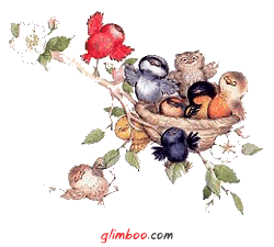 Little Birds Chirping Pictures, Photos, and Images for Facebook, Tumblr ...