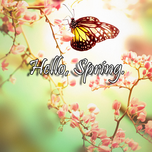Hello Spring Pictures, Photos, and Images for Facebook, Tumblr ...