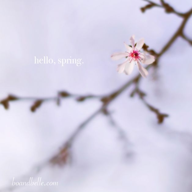 Hello Spring Pictures, Photos, and Images for Facebook, Tumblr ...