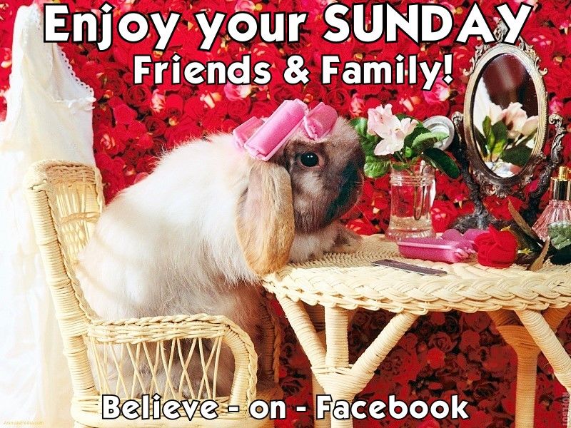 Enjoy Your Sunday Pictures, Photos, and Images for Facebook, Tumblr ...