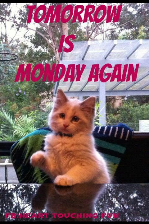 Tomorrow Is Monday Again Pictures, Photos, and Images for Facebook ...