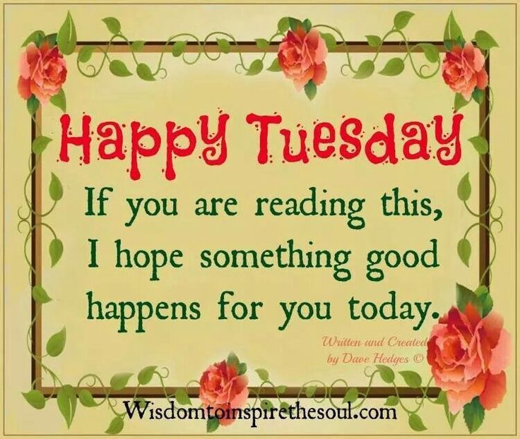 Happy Tuesday Pictures, Photos, and Images for Facebook, Tumblr ...