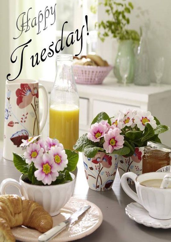Happy Tuesday Pictures, Photos, and Images for Facebook, Tumblr ...