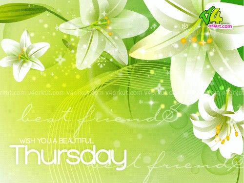 Wish You A Beautiful Thursday Pictures, Photos, and Images for Facebook ...