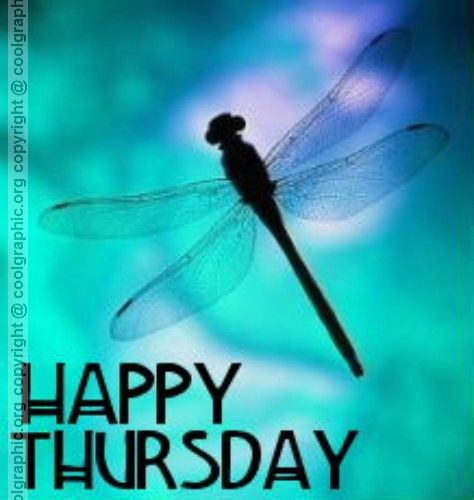 Happy Thursday Pictures, Photos, and Images for Facebook, Tumblr ...