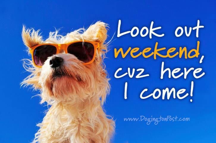 Lookout Weekend Pictures, Photos, and Images for Facebook, Tumblr ...