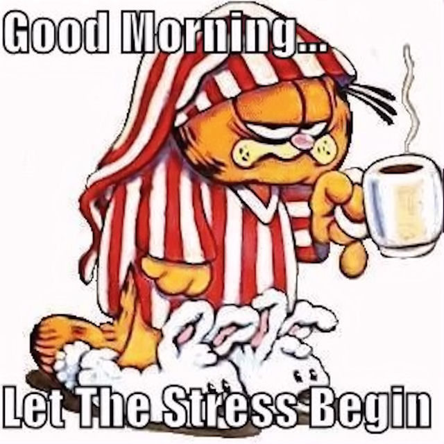 Good Morning Let The Stress Begin Pictures, Photos, and Images for ...