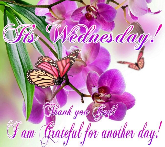 Its Wednesday Im Grateful Pictures, Photos, and Images for Facebook ...