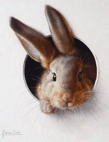 Bunny Head Pictures, Photos, and Images for Facebook, Tumblr, Pinterest ...