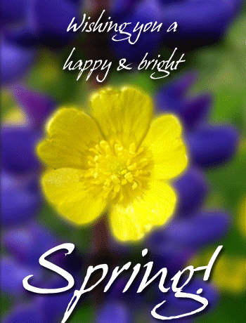 Wishing You A Happy & Bright Spring Pictures, Photos, and Images for ...
