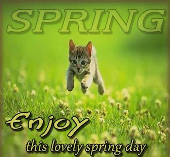 Enjoy This Lovely Spring Day Pictures, Photos, and Images for Facebook ...
