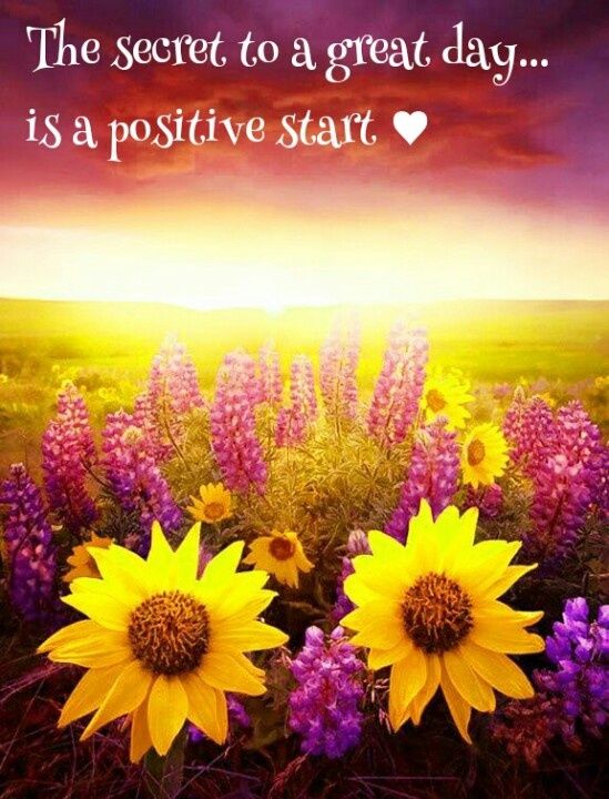 A Positive Start Pictures, Photos, and Images for Facebook, Tumblr ...