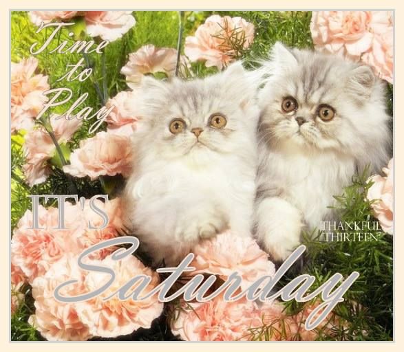 Time To Play Its Saturday Pictures, Photos, and Images for Facebook ...