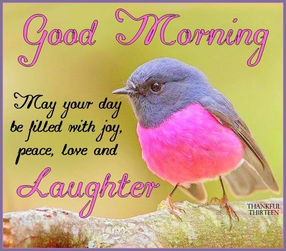 Good Morning Pictures, Photos, and Images for Facebook, Tumblr ...