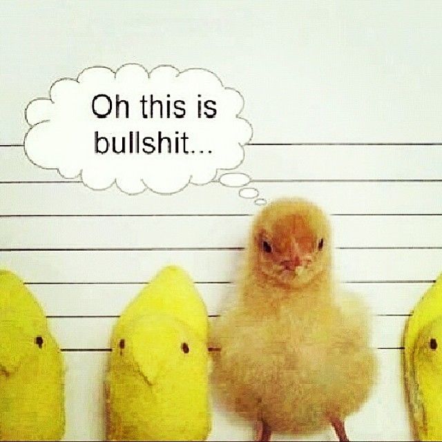 Oh This Is BS Pictures, Photos, and Images for Facebook, Tumblr ...