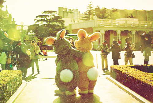 Bunny Hug Pictures, Photos, and Images for Facebook, Tumblr, Pinterest ...