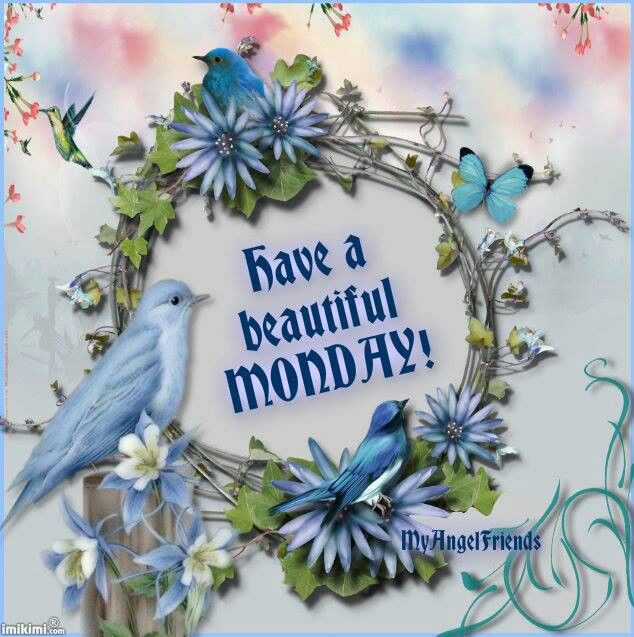 Have A Beautiful Monday Pictures, Photos, and Images for Facebook ...