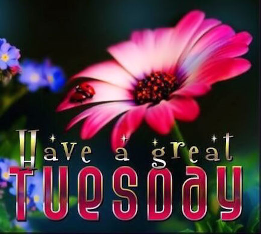 Have A Great Tuesday Pictures, Photos, and Images for Facebook, Tumblr ...