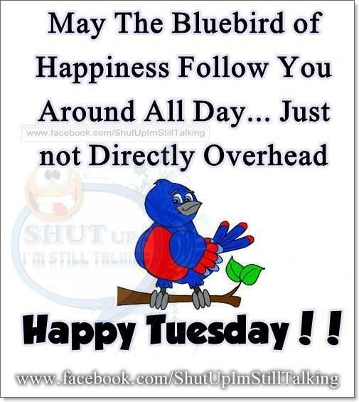 Bluebird Tuesday Pictures, Photos, and Images for Facebook, Tumblr ...