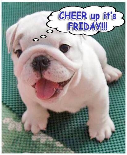 Cheer Up It's Friday Pictures, Photos, and Images for Facebook, Tumblr ...