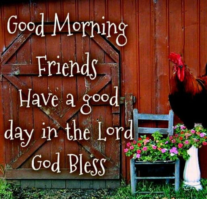 Good Morning Friends Have A Good Day Pictures, Photos, and Images for ...