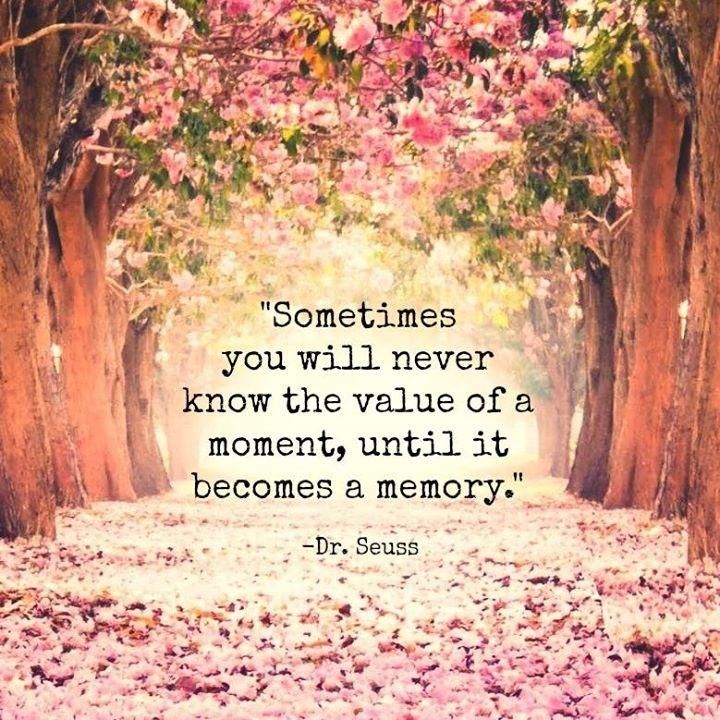 Wisdom Pictures, Photos, and Images for Facebook, Tumblr, Pinterest ...