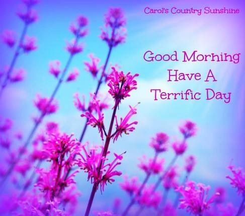 Good Morning Have A Terrific Day Pictures, Photos, and Images for ...