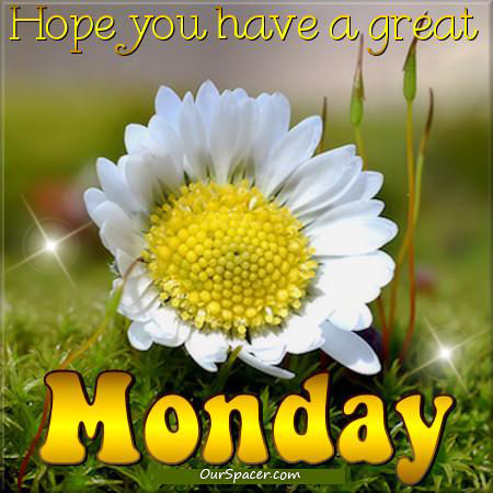 Hope You Have A Great Monday Pictures, Photos, and Images for Facebook ...