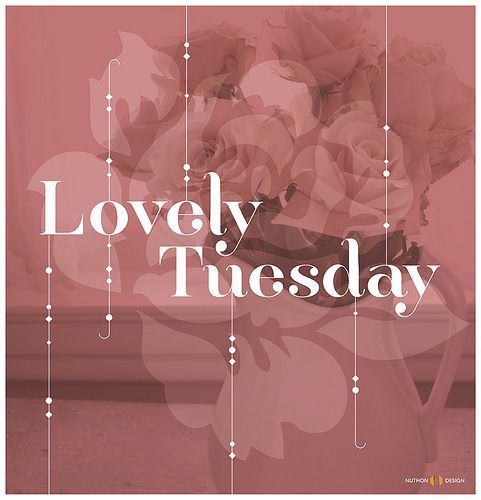 Lovely Tuesday Pictures, Photos, and Images for Facebook, Tumblr ...