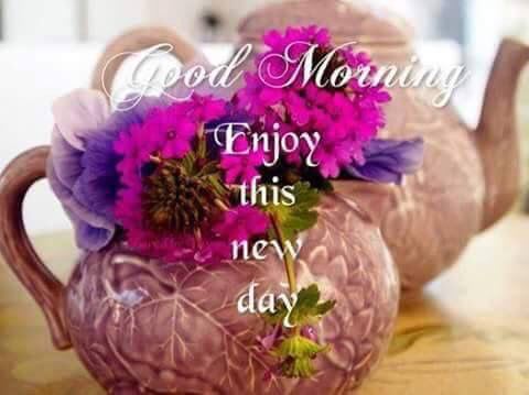 Good Morning Enjoy This Day Pictures, Photos, and Images for Facebook ...