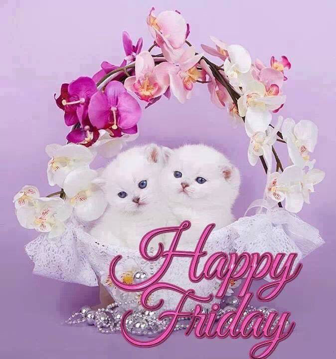 Happy Friday Pictures, Photos, and Images for Facebook, Tumblr ...