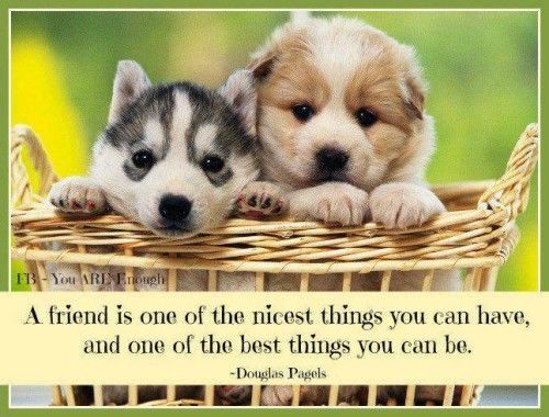 A Friend Is One Of The Nicest Things You Can Have.... Pictures, Photos ...