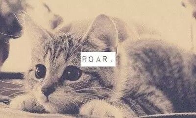 Roar Pictures, Photos, and Images for Facebook, Tumblr, Pinterest, and ...