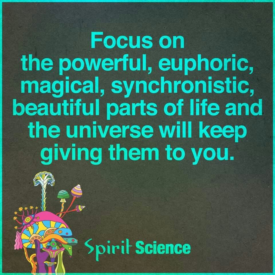 Focus Pictures, Photos, and Images for Facebook, Tumblr, Pinterest, and ...