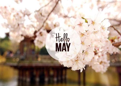 Hello May Pictures, Photos, and Images for Facebook, Tumblr, Pinterest ...