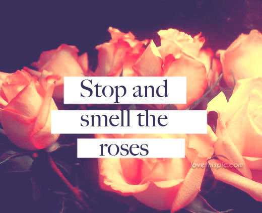 Smell The Roses Pictures, Photos, and Images for Facebook, Tumblr ...